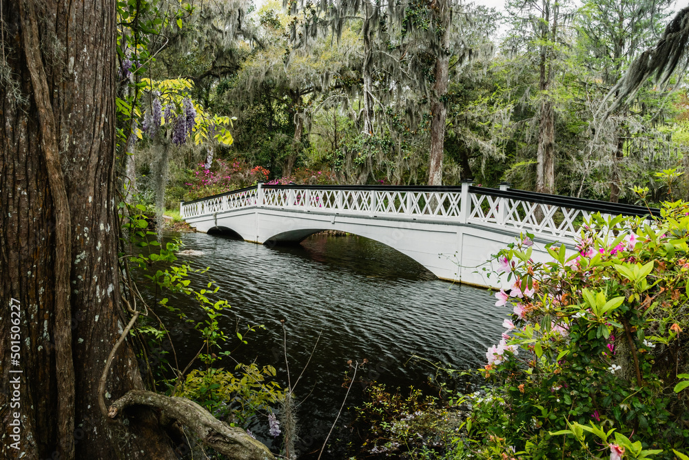Ashley River Bridge