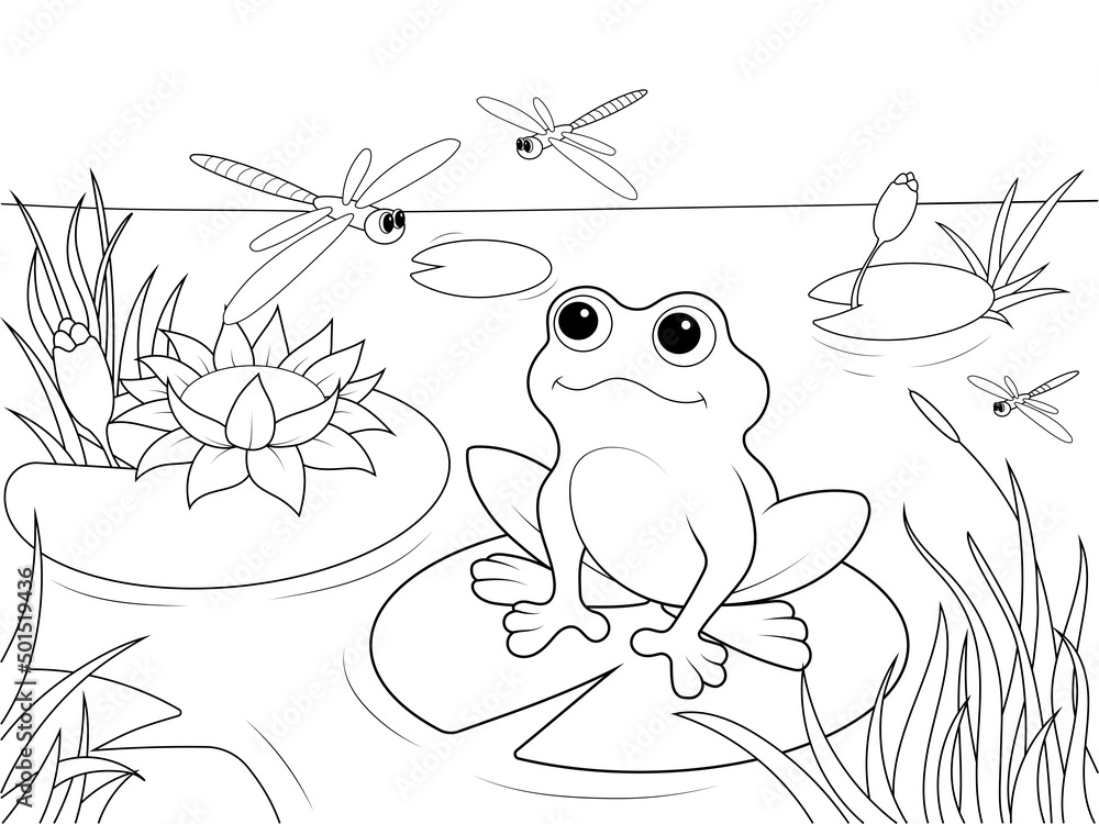 Wetland Animals Coloring Page Sketch Coloring Page
