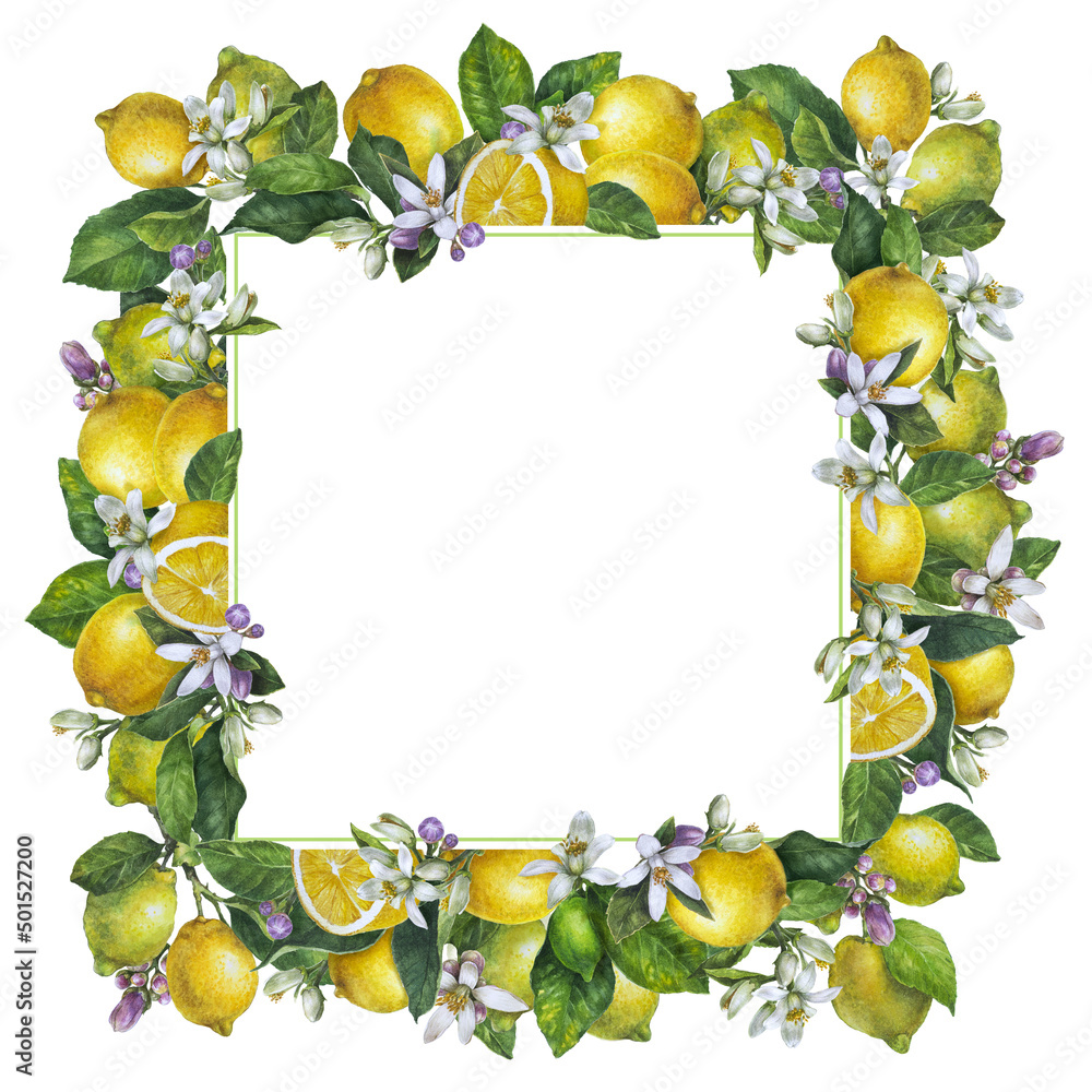 Hand drawn lemon frame with blooming lemon tree branches, flowers and ...