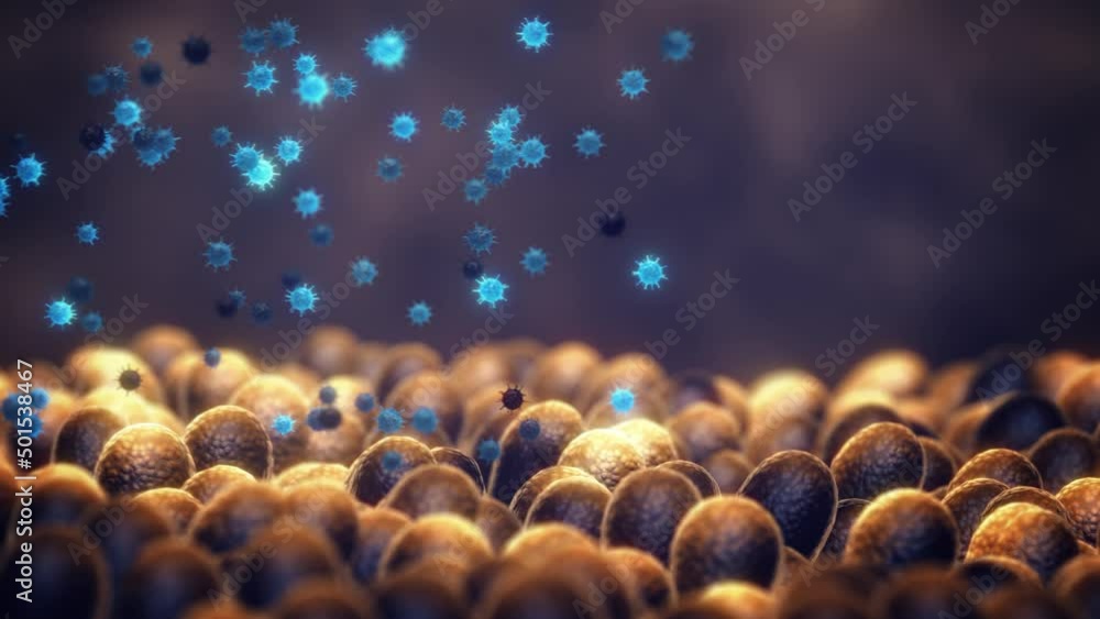 Animation of intestinal viruses (enteroviruses). Viral gastroenteritis ...