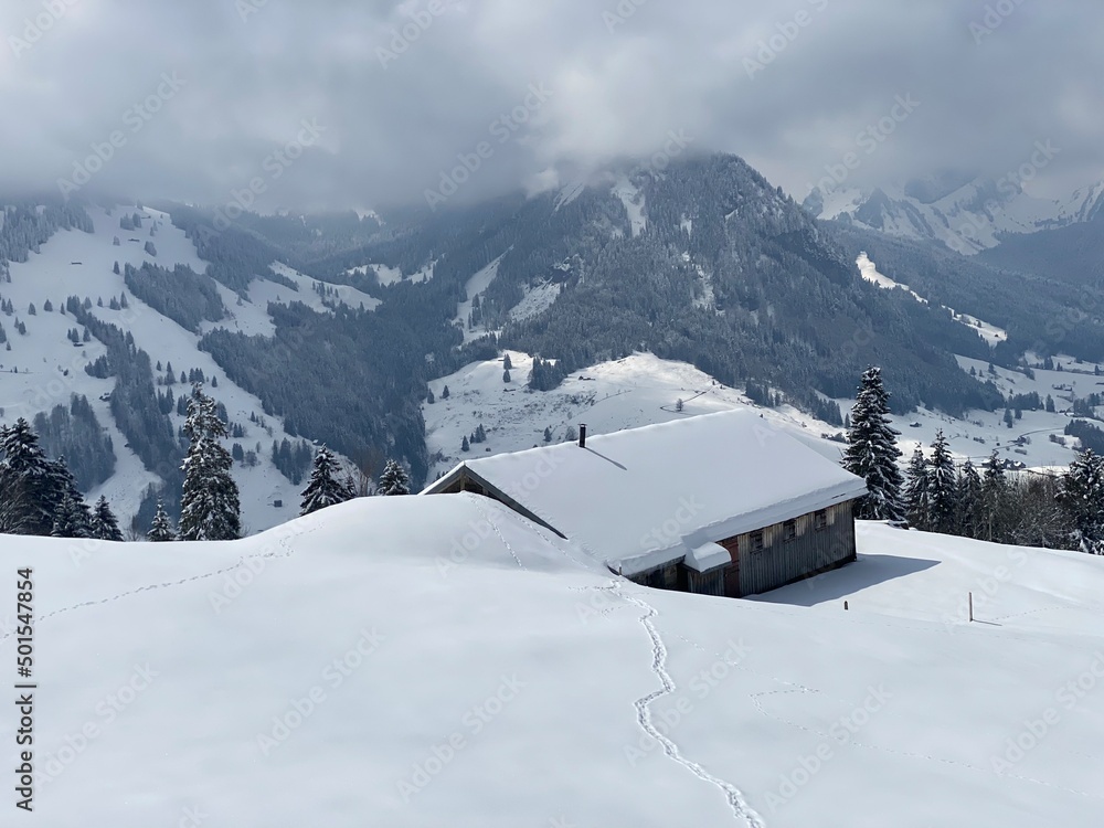 Indigenous alpine huts and wooden cattle stables on Swiss pastures ...