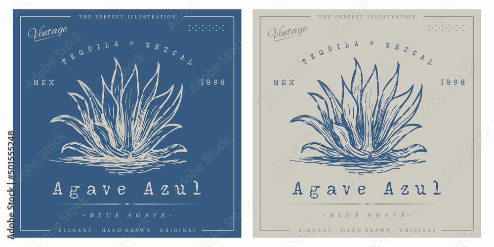 Blue agave vintage logo tequila template vector de Stock | Adobe Stock