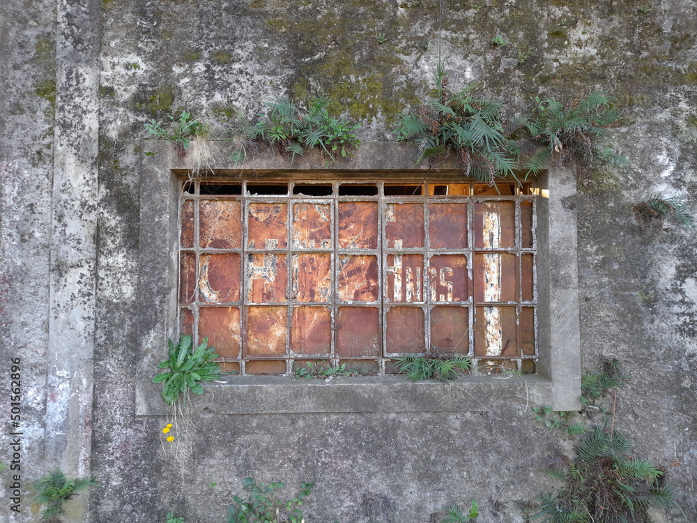 Pared vieja arruinada por el moho y verdìn con ventana de reja de ...