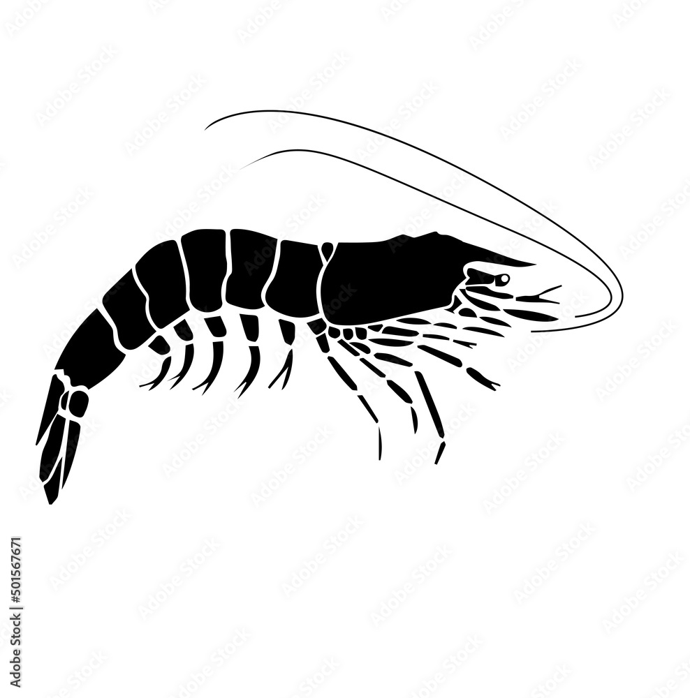 Shrimp silhouette. Isolated shrimp on white background Stock Vector ...