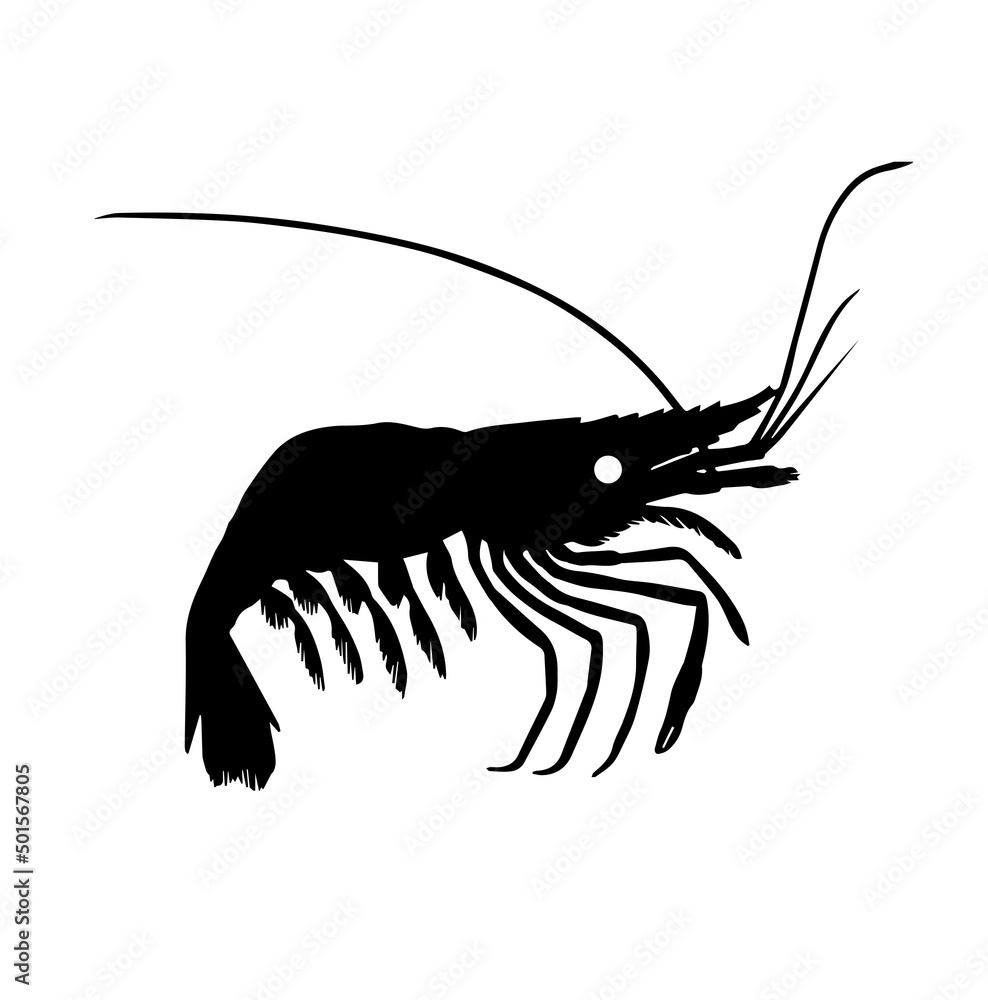 Shrimp silhouette. Isolated shrimp on white background Stock Vector ...