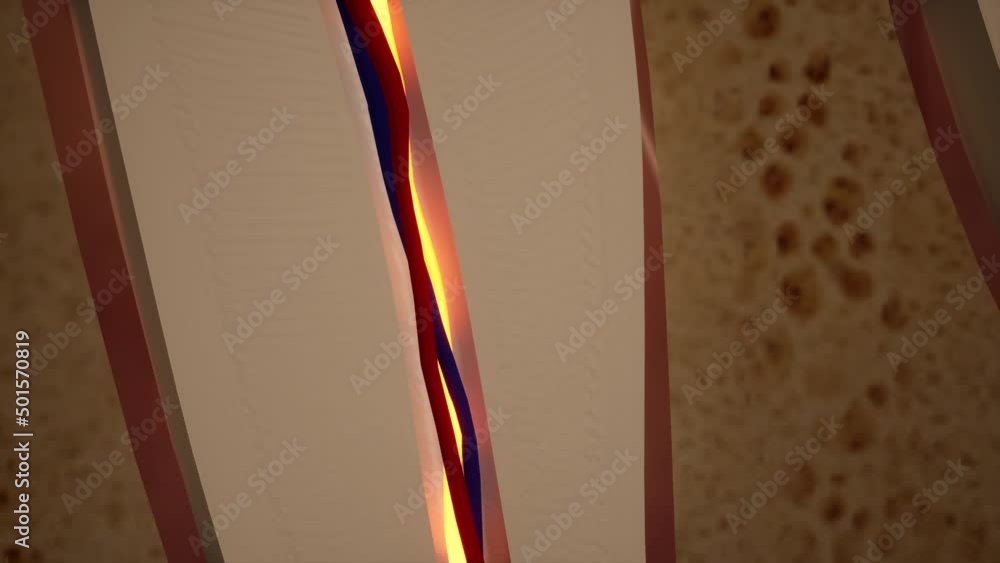 Toothache. Anatomical detailed section of the teeth. Nerve inflammation ...