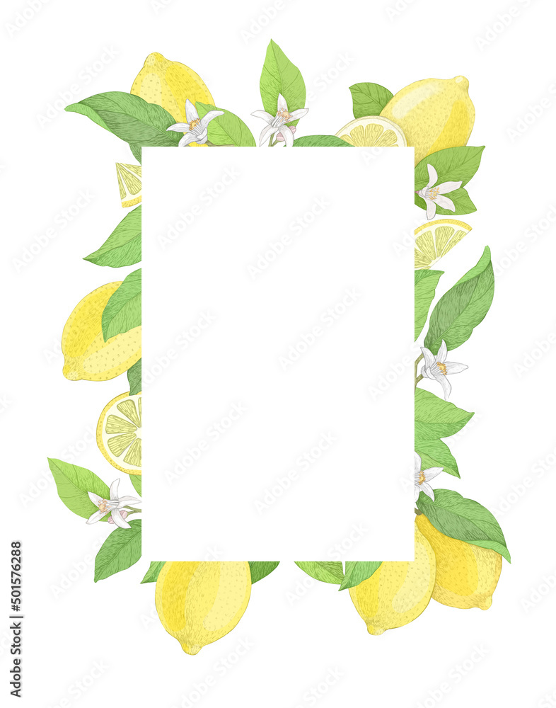 Lemons and flowers on branches, postcard, frame. Botanical illustration ...