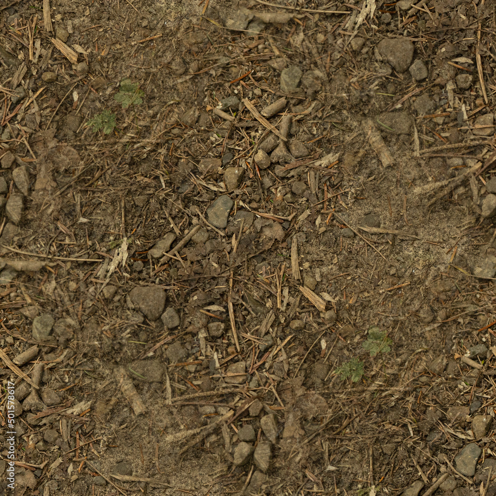 soil in the ground, seamless forest textures. Stock Photo | Adobe Stock