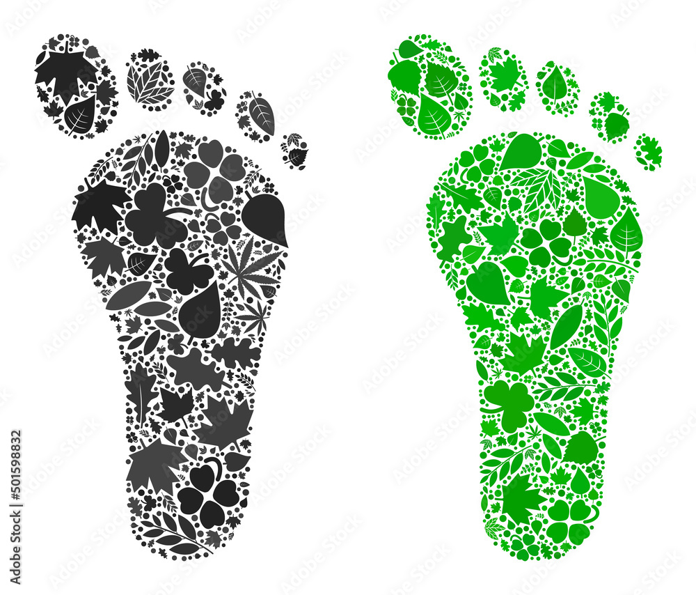 Ecology human footprint icon composition of herbal leaves in green and ...