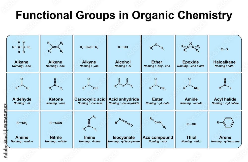 Functional Groups in Organic Chemistry. Colorful Symbols. Vector ...