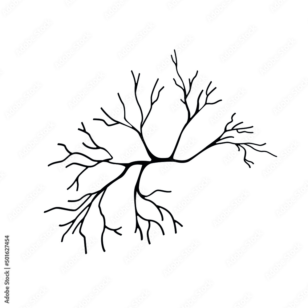 Black veins illustration. Human vessel, arteries. Graphic element ...