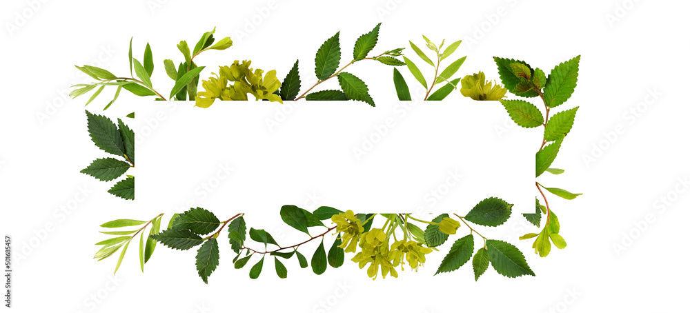 Fresh twigs with green leaves and small flowers in a border for white ...