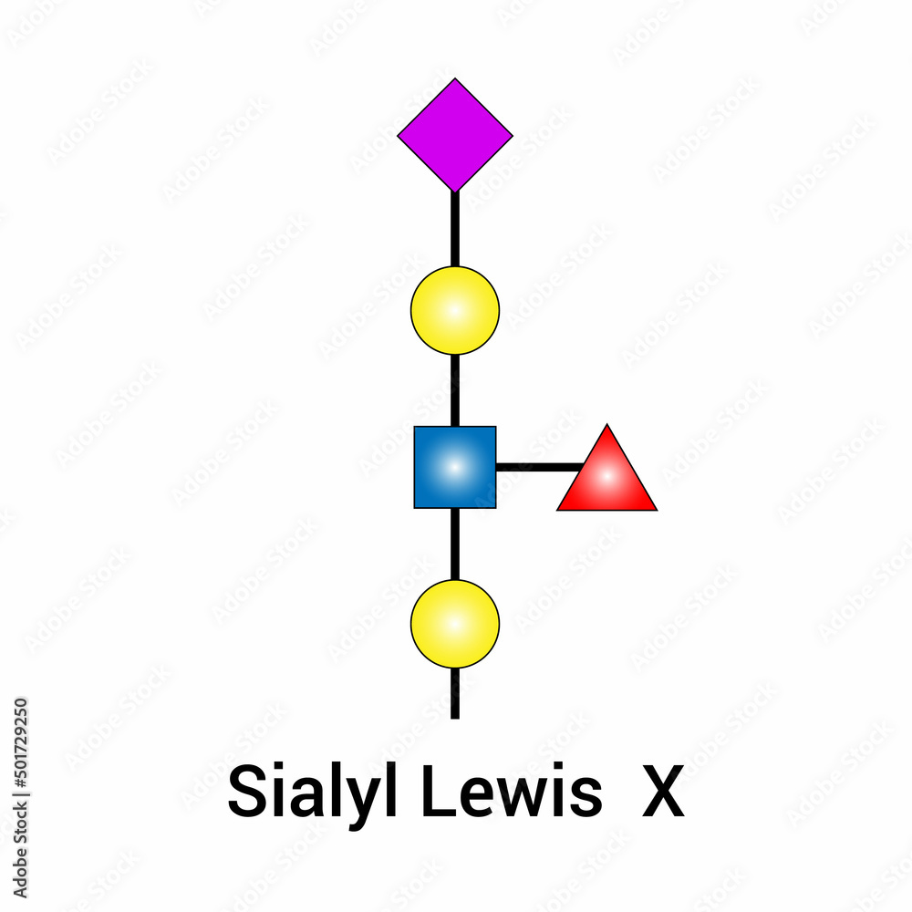 sialyl lewis x structure vector illustration Stock Vector | Adobe Stock