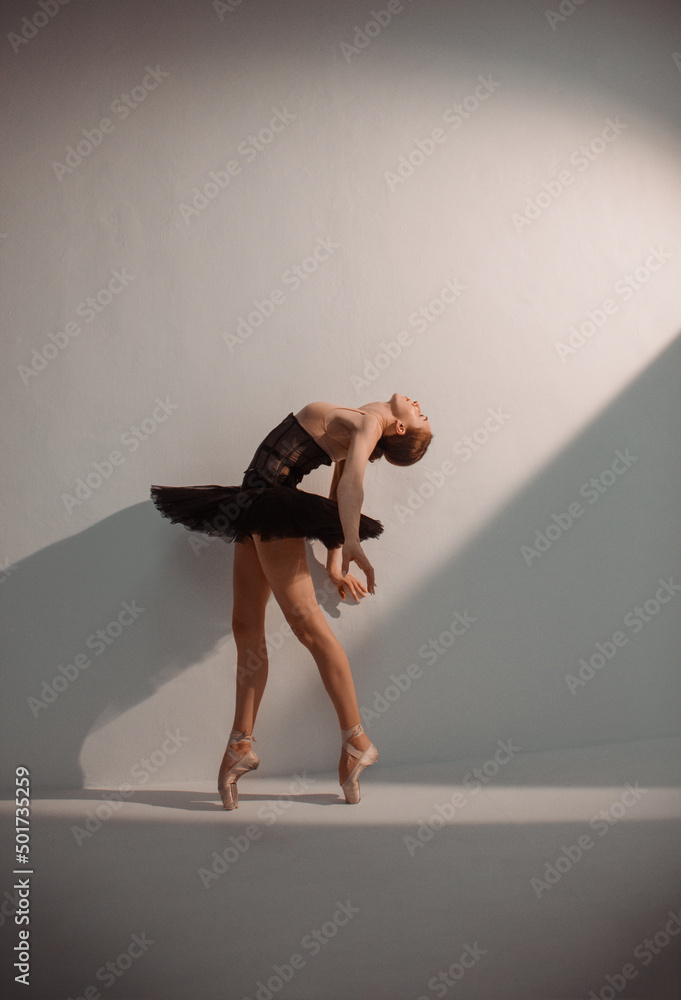 ballet posing. young slim dancer, flexible girl ballerina stands in ...