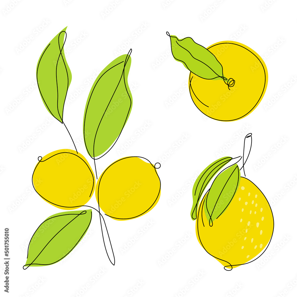 Set of lemon element, citrus fruits. Vector illustration collection ...