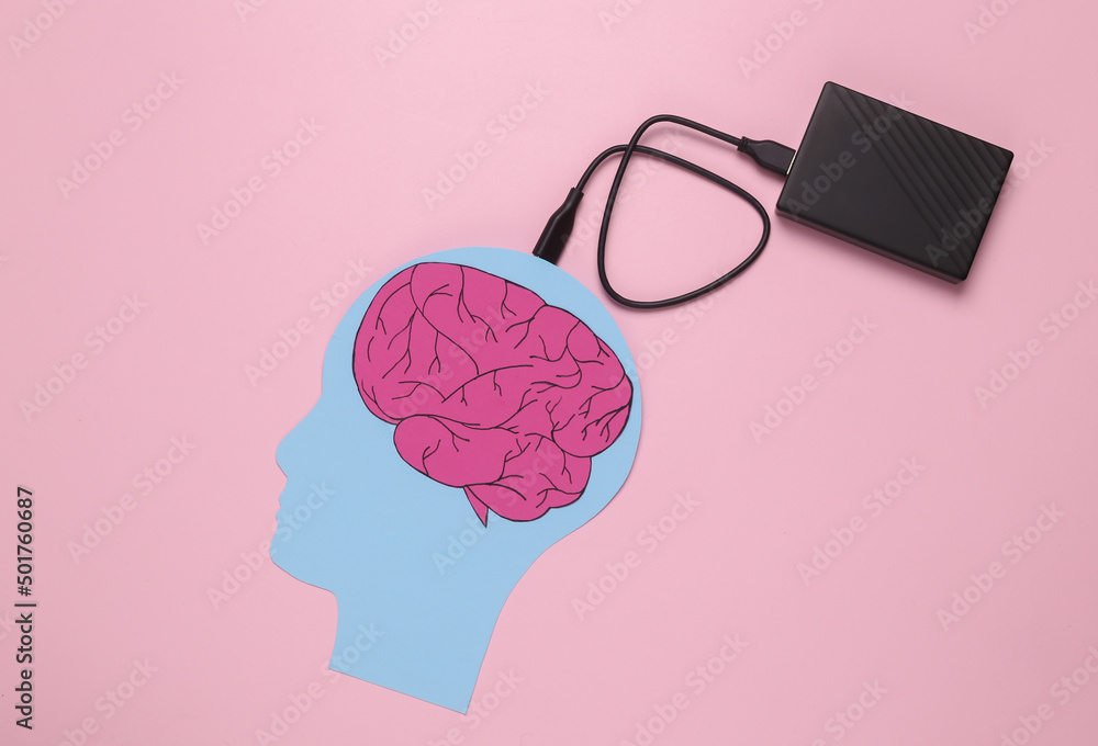 Brain Memory Storage