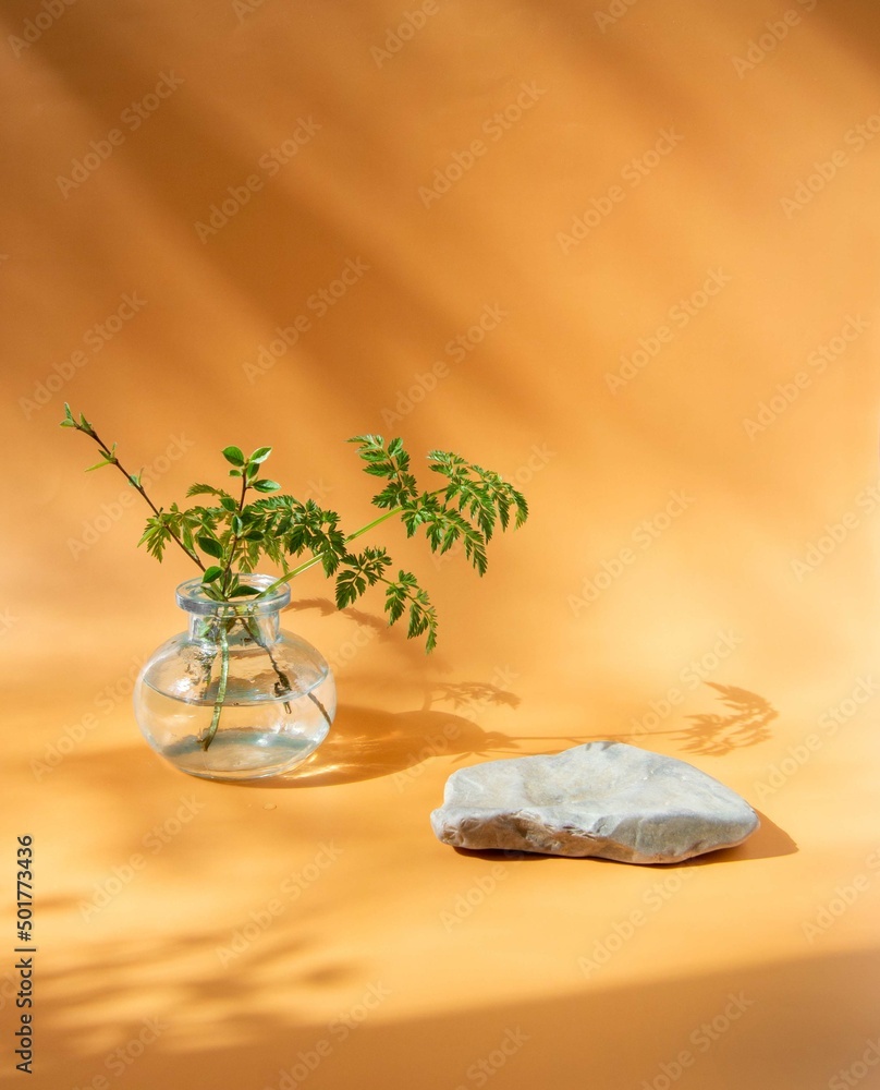 Minimalistic still life with natural materials: A green plant in a ...