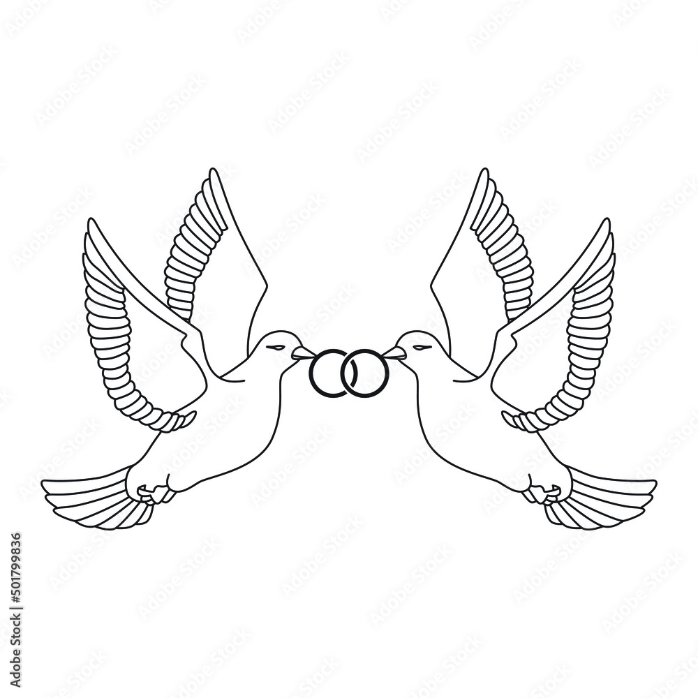 Wedding Dove Vector