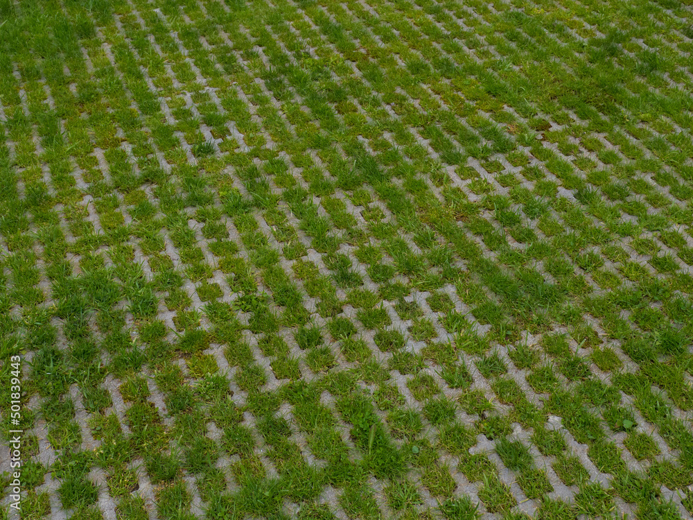 Eco-friendly parking of concrete cells and turf grass in summer. Modern ...