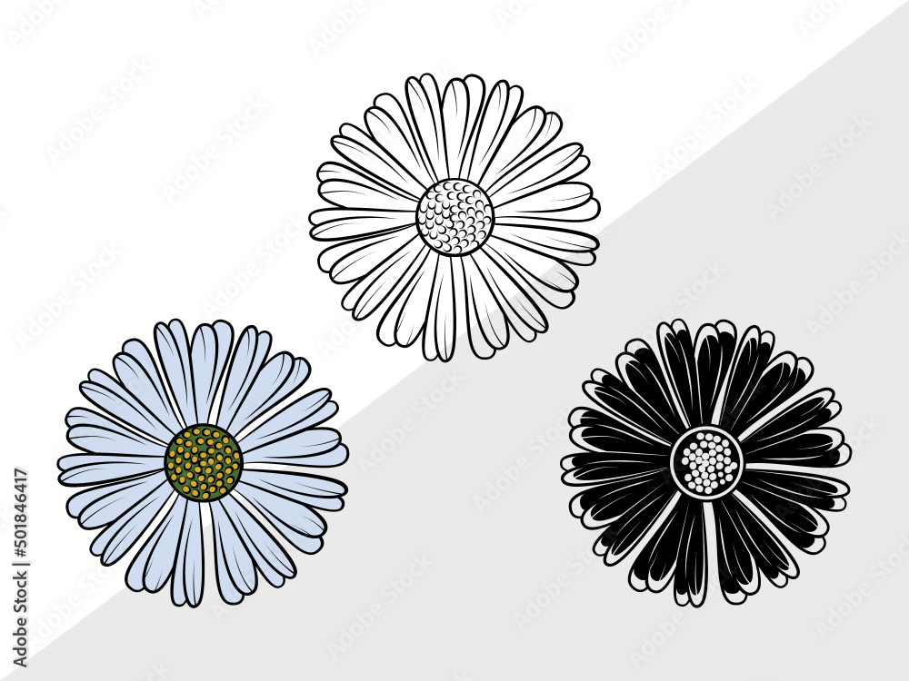 Daisy Flower SVG | Daisy Flower Clipart Bundle | Daisy Flower Outline ...