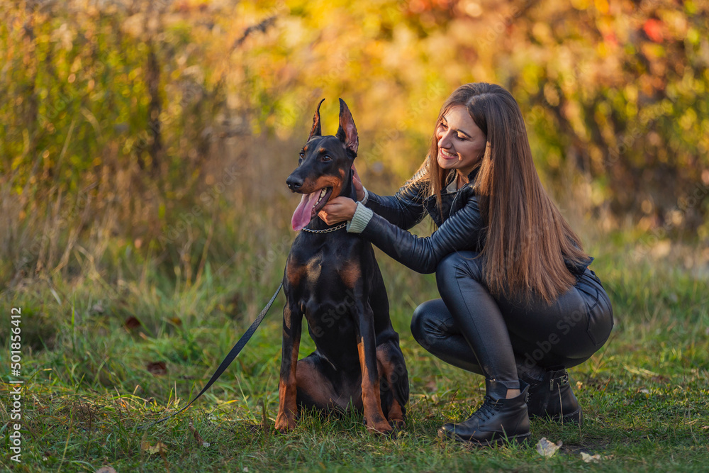 girl sitting near a doberman dog breed in nature Stock Photo | Adobe Stock