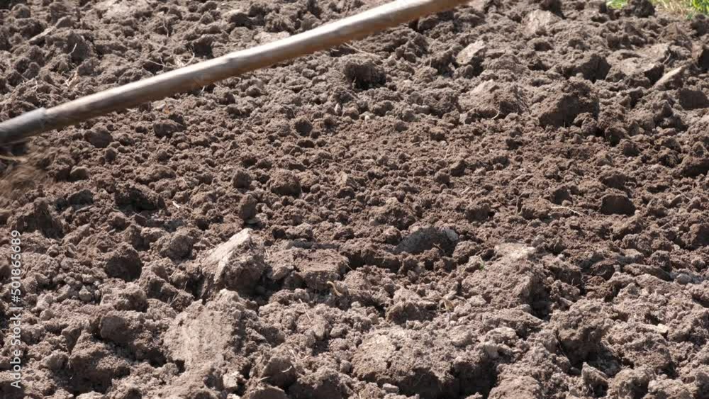 Manual tillage. Preparing the soil for planting. Stock Video | Adobe Stock