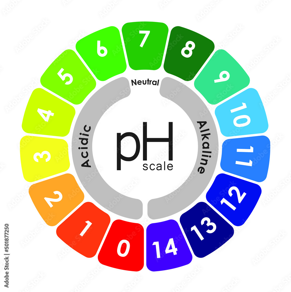 Acidic And Alkaline Solution pH Value Scale Chart. Infographic Balance ...