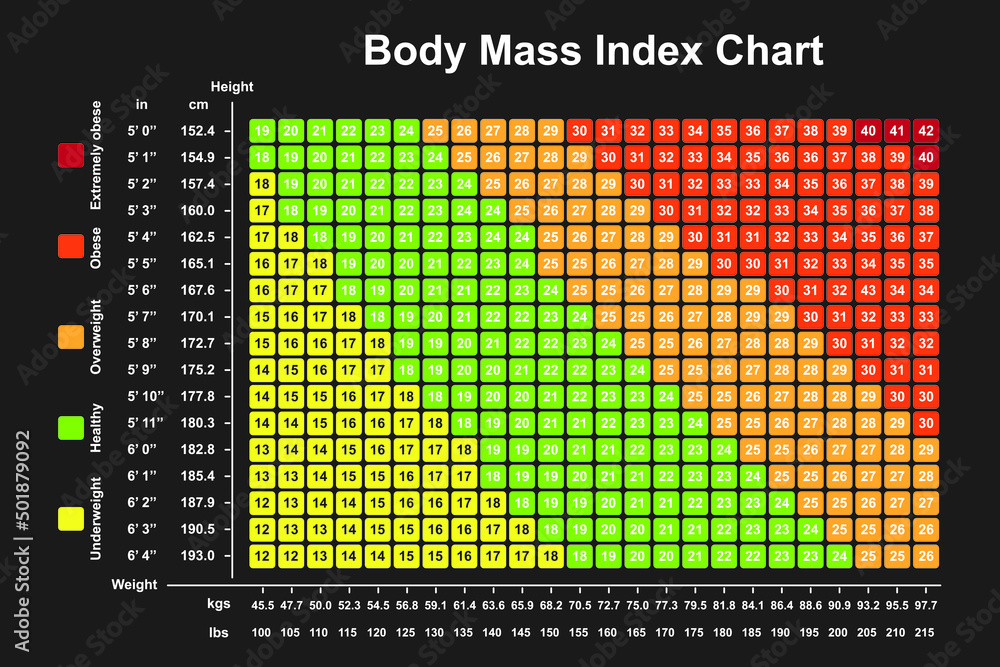 Body Mass Index Bmi Chart Bmi Calculator To Checking Your Body Mass
