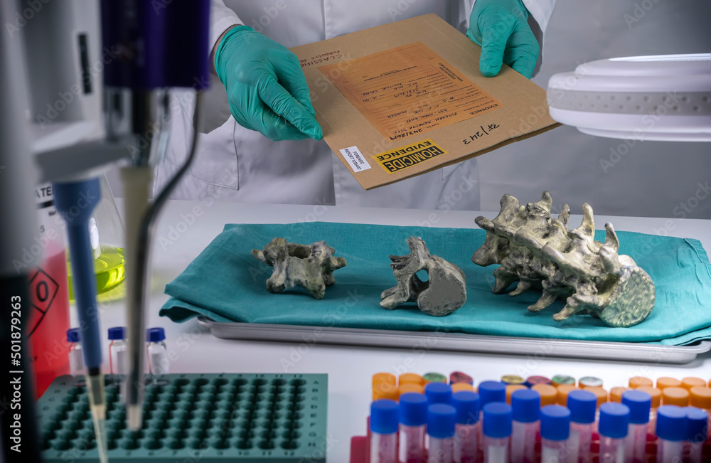 Forensic scientist examines victim's evidence file to extract DNA ...
