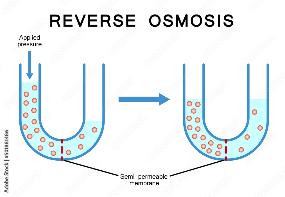 Vector Scientific Designing Of Reverse Osmosis Isolated on White ...