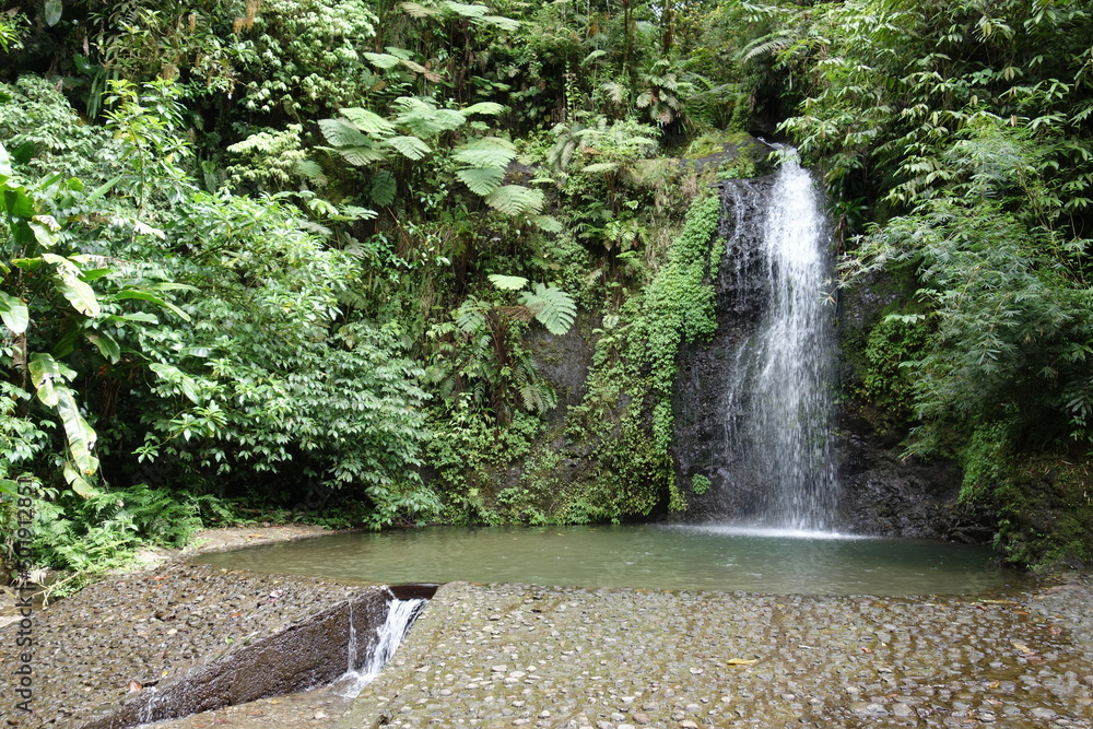 Ile de la Martinique, Cascade du Gendarme Stock Photo | Adobe Stock