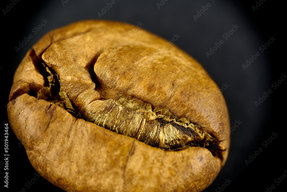 coffee bean macro grain closeup microscope medium rare soft focus Stock ...