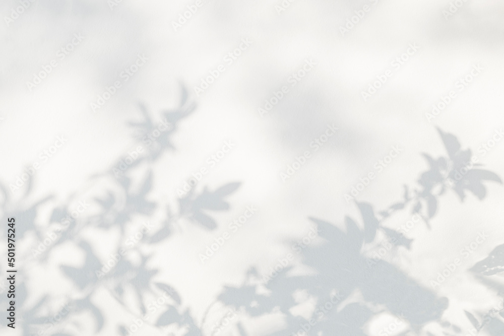 Shadow and sunshine of leaves reflection. Jungle gray darkness leaf ...