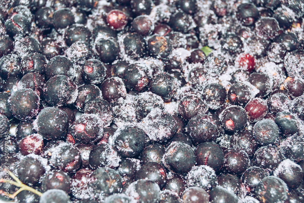 Frozen chokeberry berries with frost. Texture of frozen berries. Stock Photo | Adobe Stock