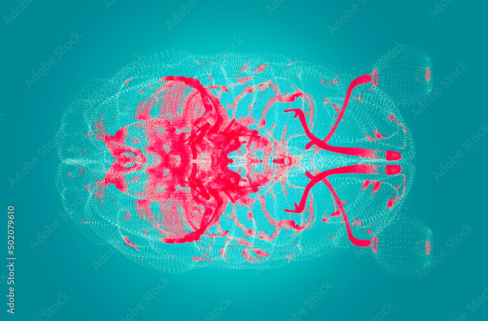 Visual function, brain and sight. Impulses sent by the visual system ...