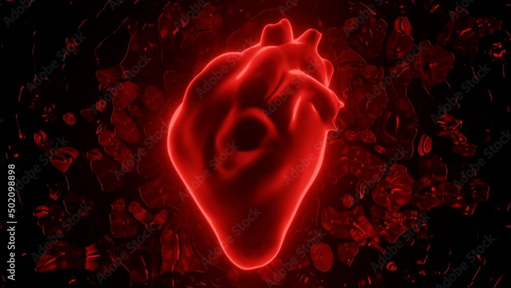 Digital model of the human realistic beating heart, diagnostic of the ...