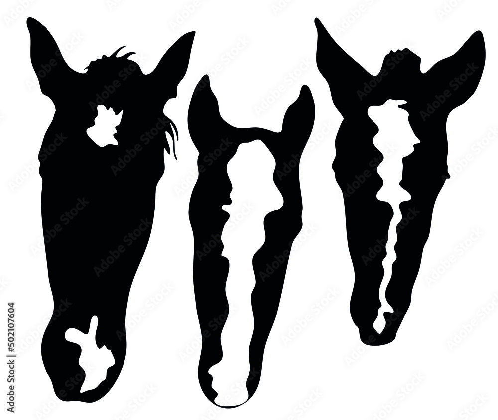 Vector illustration set ready to print: Horse Facial Markings, black ...