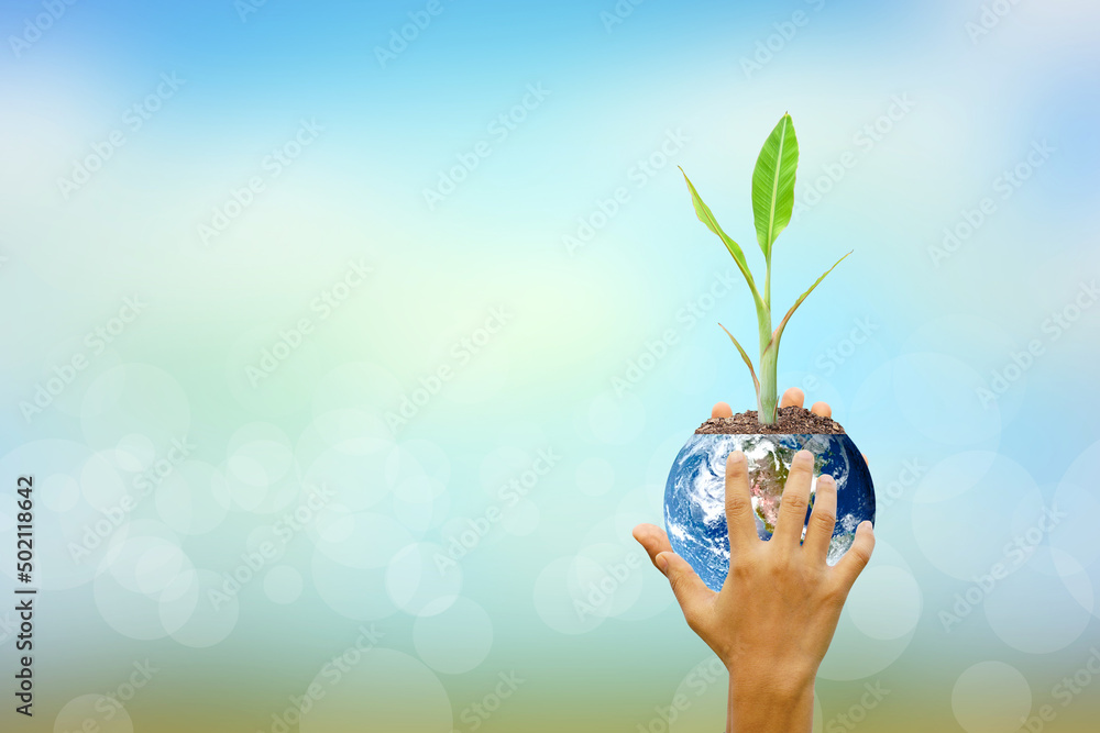 Human hand holding tree and world on blurred nature background.World ...