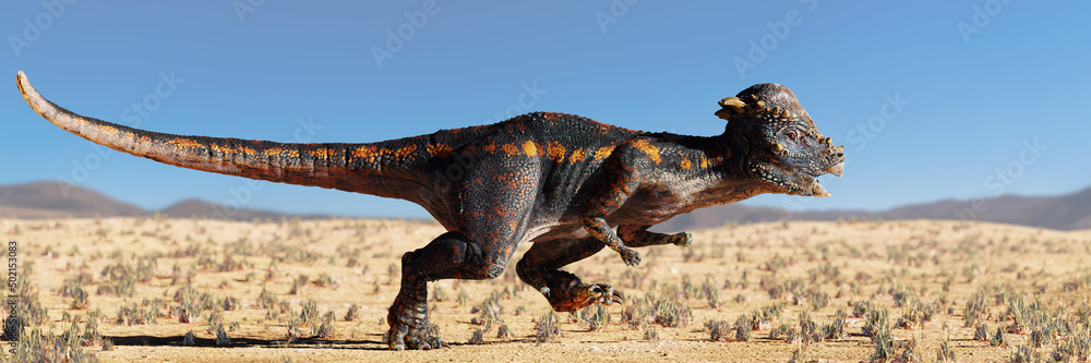 Pachycephalosaurus, dinosaur running in a desert landscape Stock ...