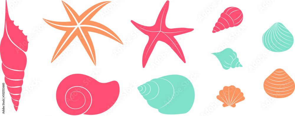 Set of seashells and sea stars. Vector collection on white background ...