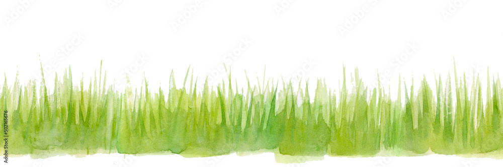 Seamless pattern of Watercolor green lush grass for spring or summer ...