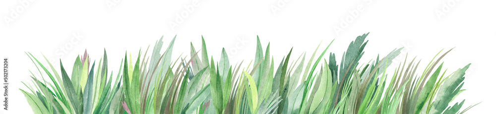 Hand drawn watercolor grass isolated on white background. Withered herb ...