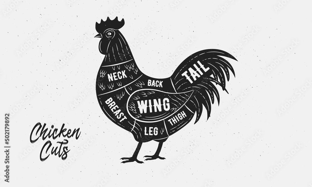 Cuts of Chicken. Butcher Diagram, scheme, chart. Rooster sketch ...