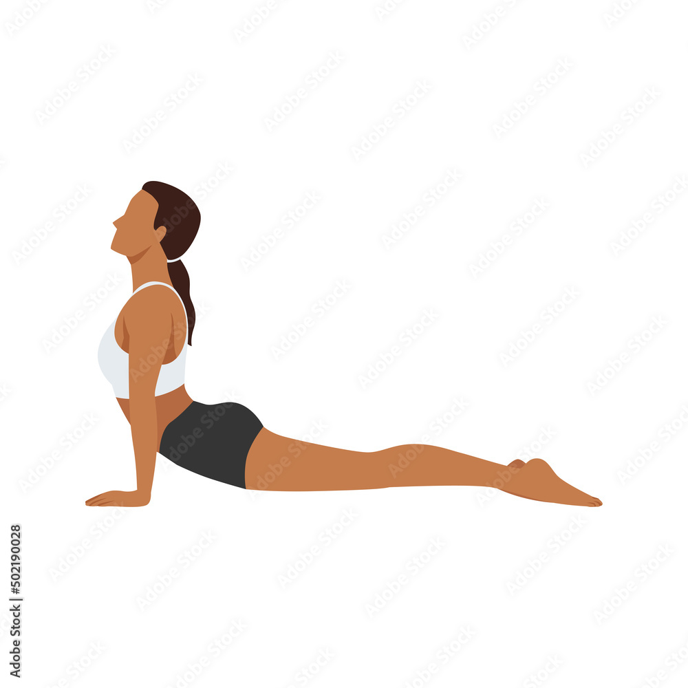 Woman doing upward facing dog pose urdhva muka exercise. Flat vector ...