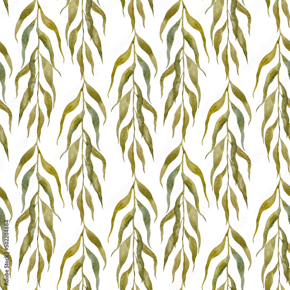 Abstract botanical texture. Watercolor willow leaves on a white ...