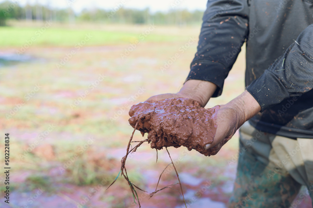 Spring sowing campaign. Men's hands with soil. Agrarian with soil in ...