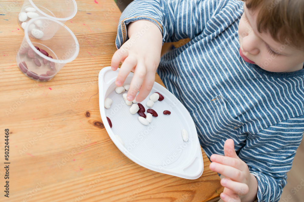 Boy sorting kidney beans from white beans. Montessori concept ...