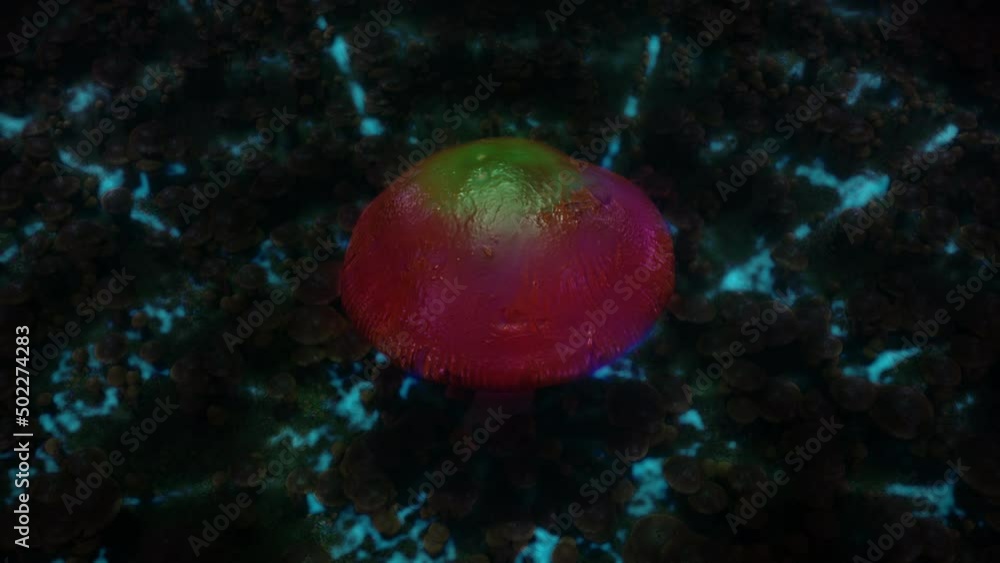 Psychedelic Mycelium Interconnected with the forest. Psychedelic Visual ...
