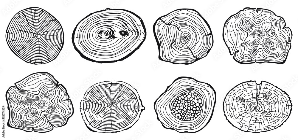 Set of wooden texture pattern from a slice of tree the bark of the tree ...