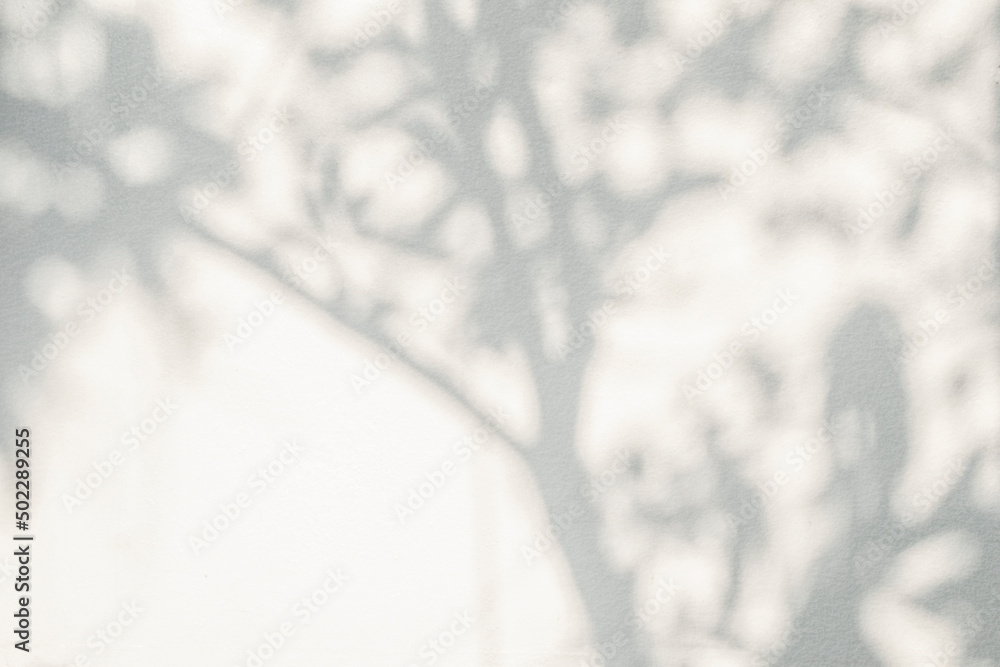 Tree shadow and leaf branch background. Nature leaves tropical jungle ...